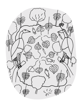 The Nawarddeken Academy | Where we do it